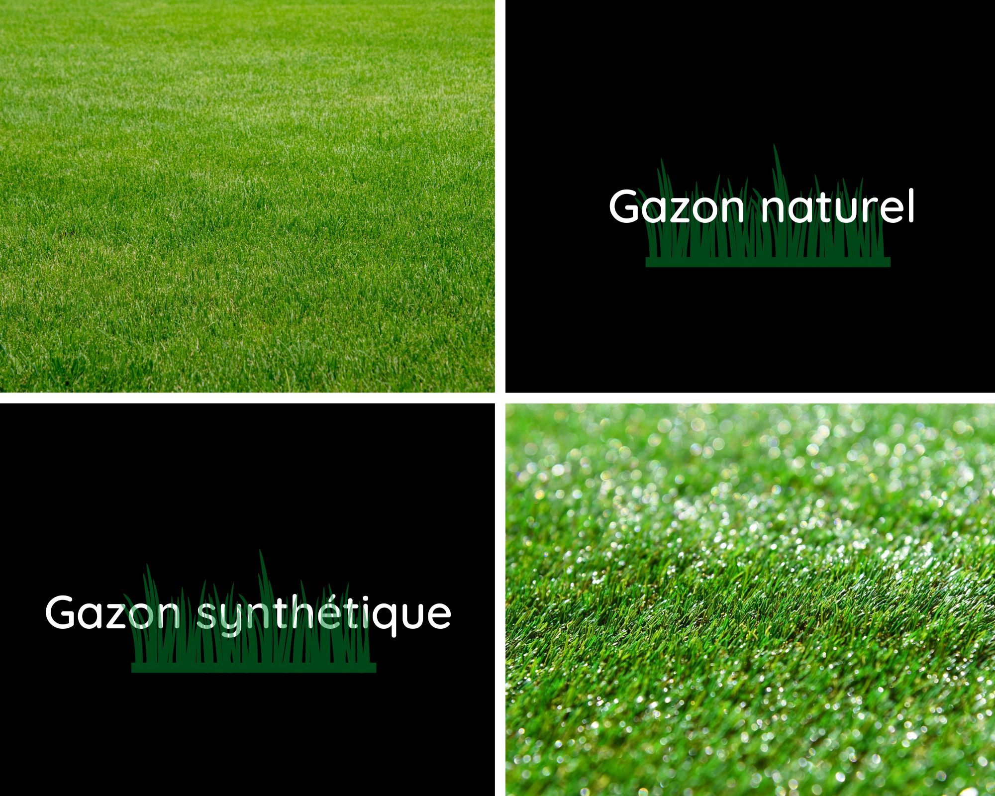 Gazon naturel ou synthétique ? – EC GARDEN